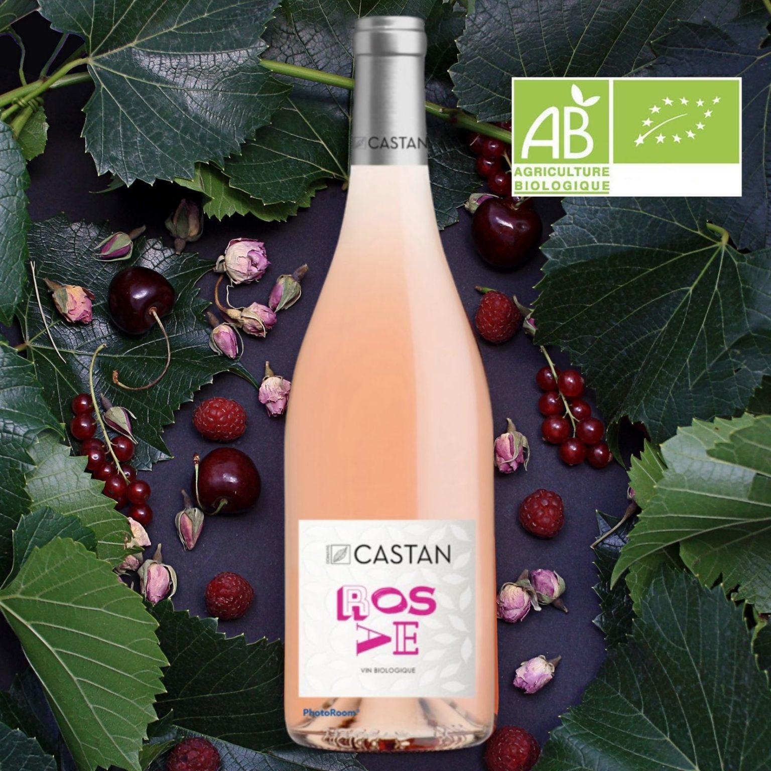 Domaine Castan à Cazouls-les-Béziers, Vins du Languedoc