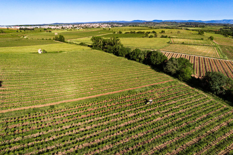 Domaine Castan - Les grands vins du Languedoc