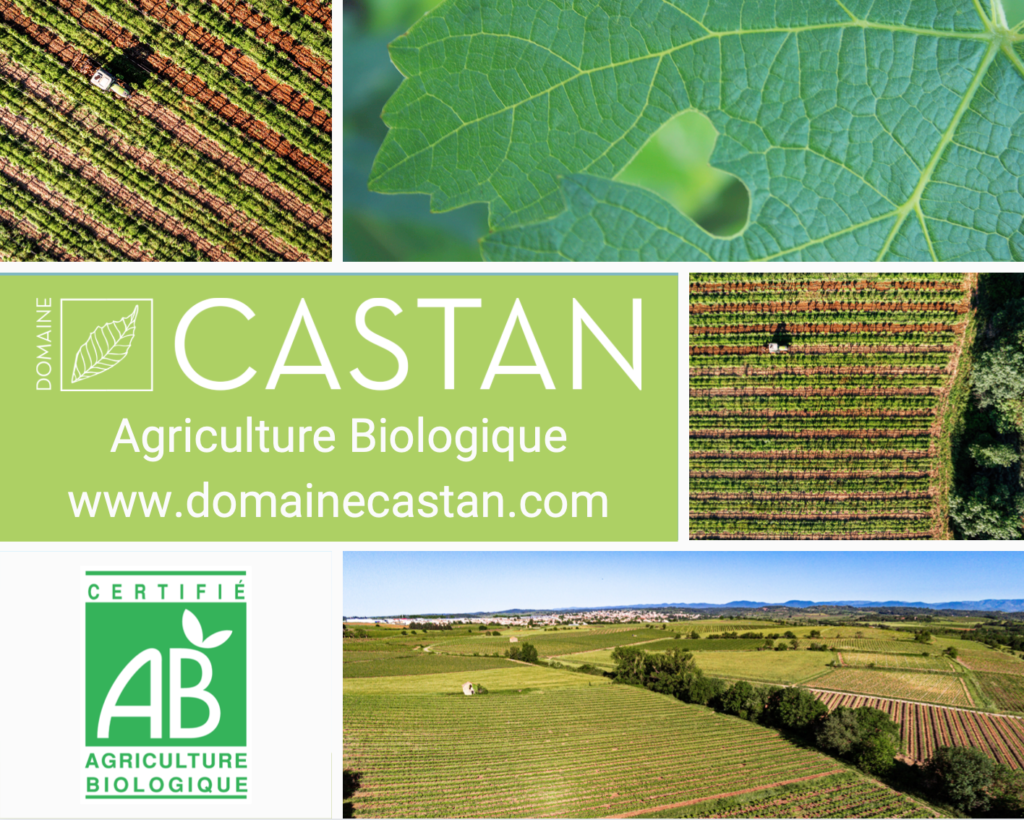Le Domaine Domaine Castan - Les grands vins du Languedoc
