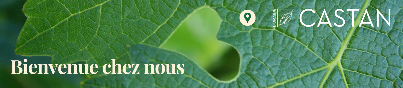 Domaine Castan - Les grands vins du Languedoc