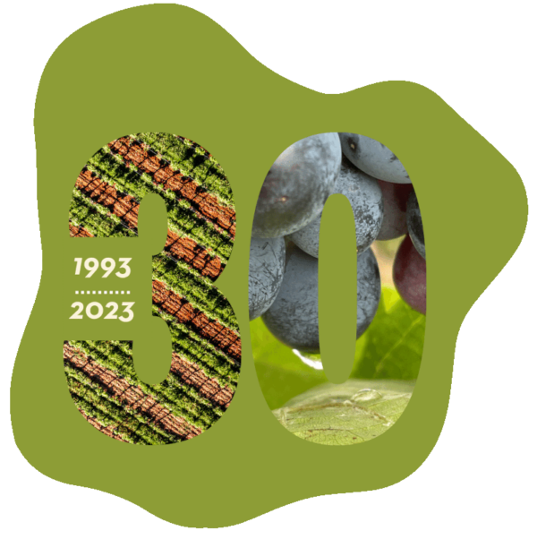 Domaine Castan, artisan del vin dans l'Hérault